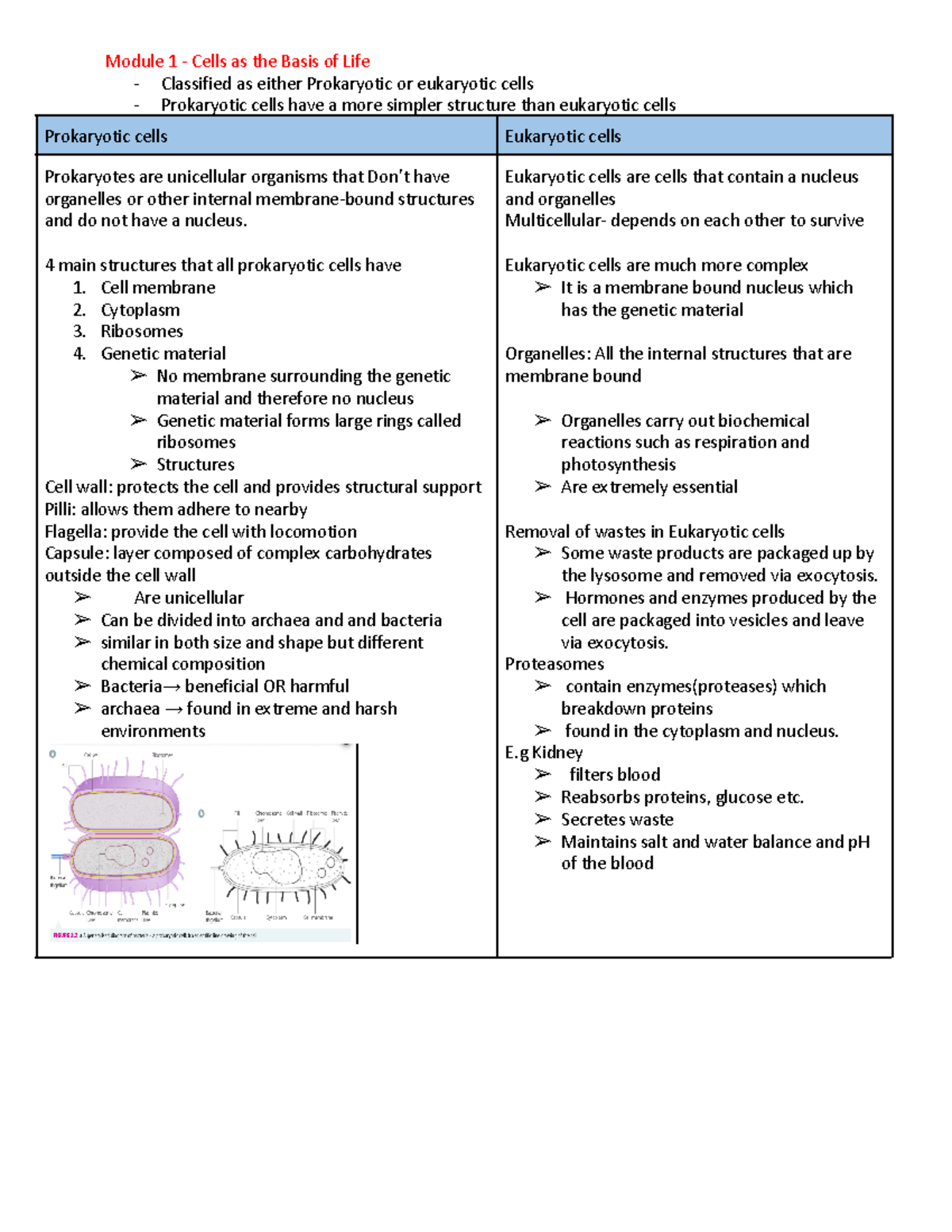 Bio notes - Module 1 - Cells as the Basis of Life - Classified as ...