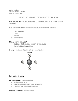 Report 1 bio ) (1) - moke up - Applying the Scientific Method: Pillbug ...