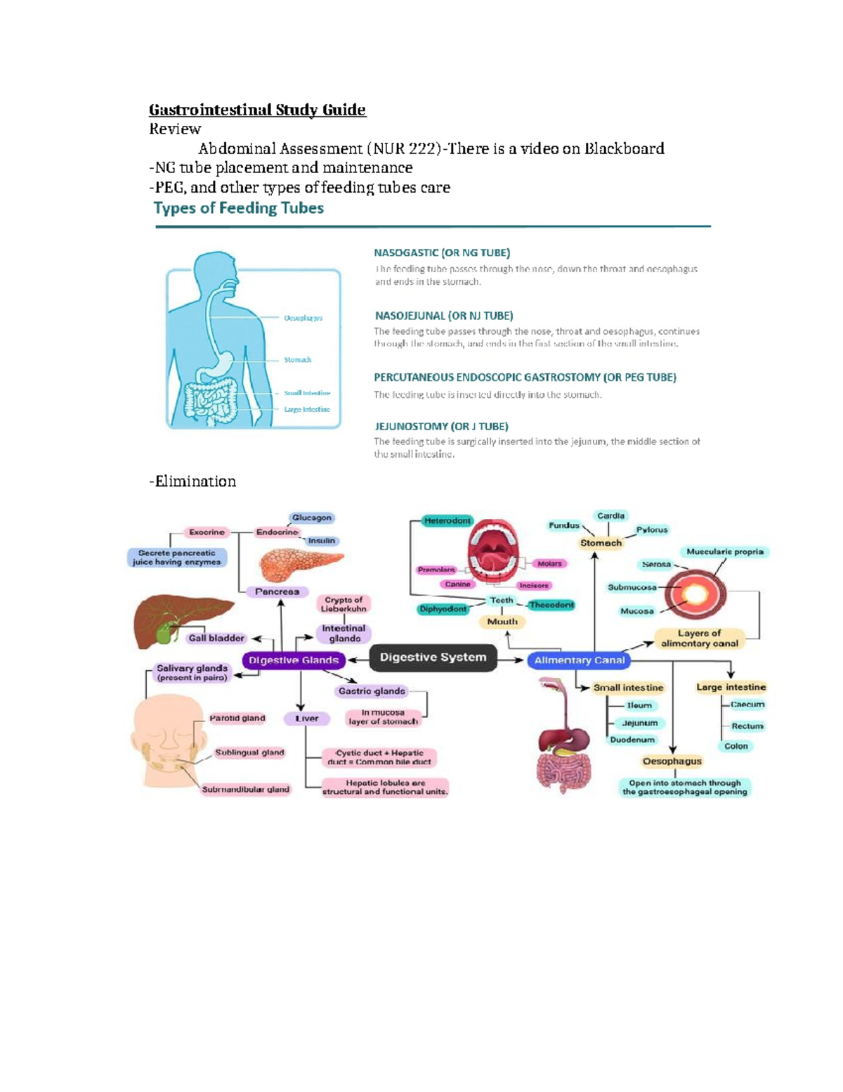 MS2 Study Guide GI - Bsn - Gastrointestinal Study Guide Review ...