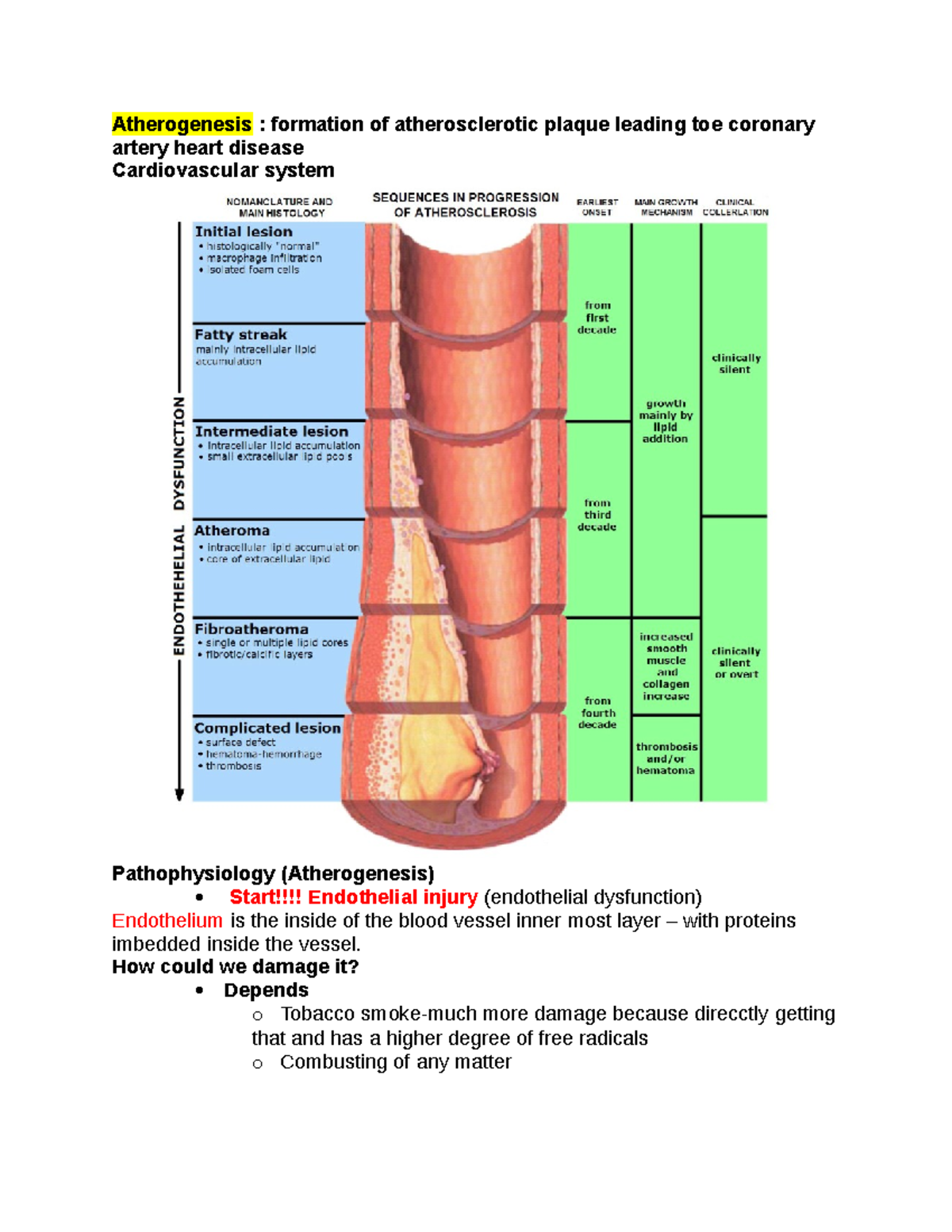 Knes 442. Introduction to Atherogenesis - Atherogenesis : formation of ...