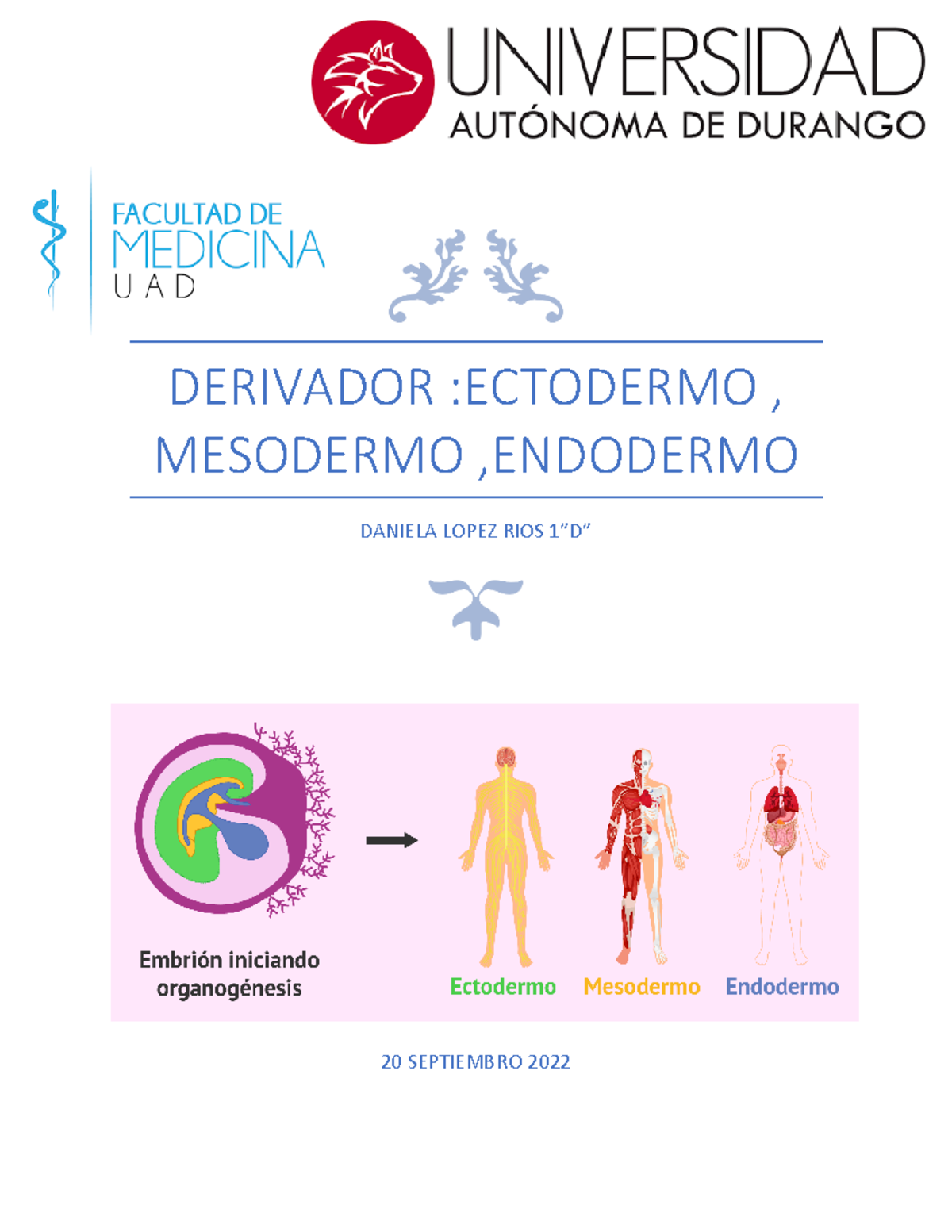 Embrio 1 - DERIVADOR :ECTODERMO , MESODERMO ,ENDODERMO DANIELA LOPEZ ...