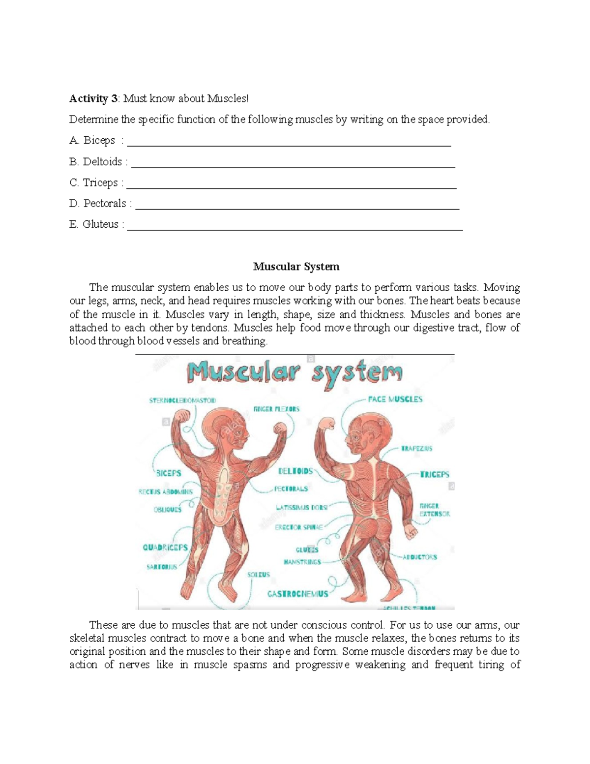 Topic-5-TSEG - science 5 - Activity 3: Must know about Muscles ...