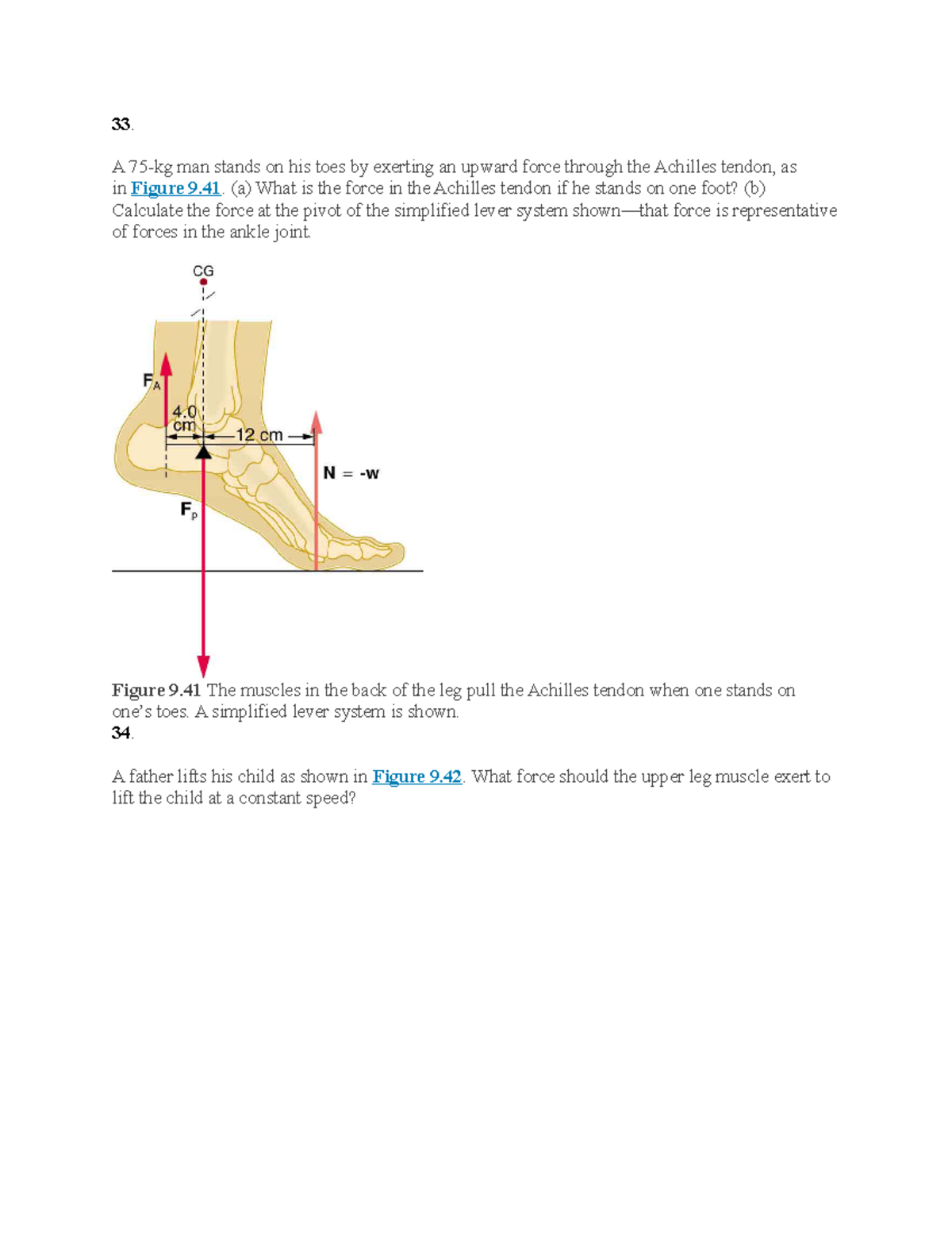 Physics 2023 Notes 045 - 33. A 75-kg man stands on his toes by exerting ...