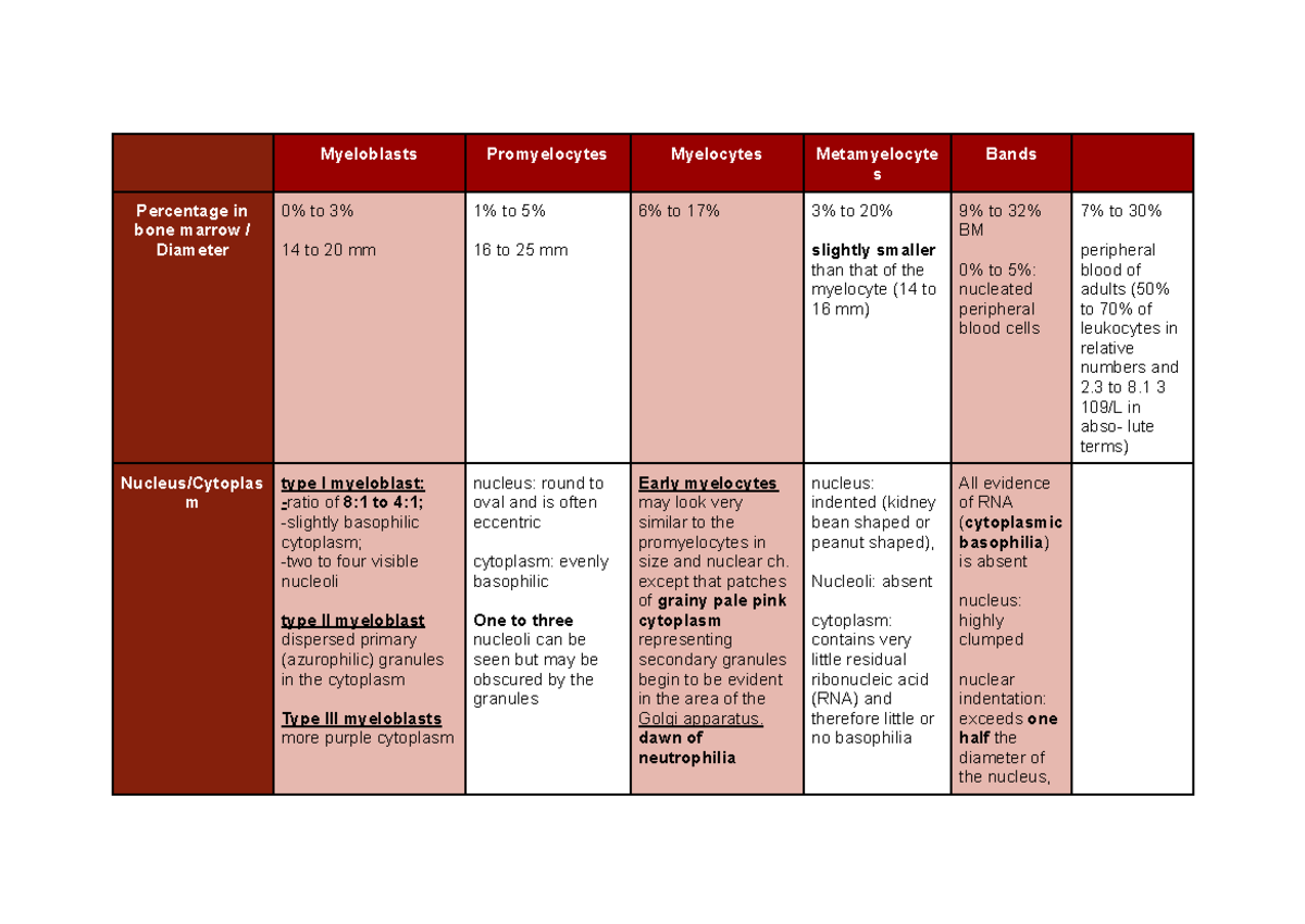 Wbc lineage - Summary Rodak's Hematology - Myeloblasts Promyelocytes ...