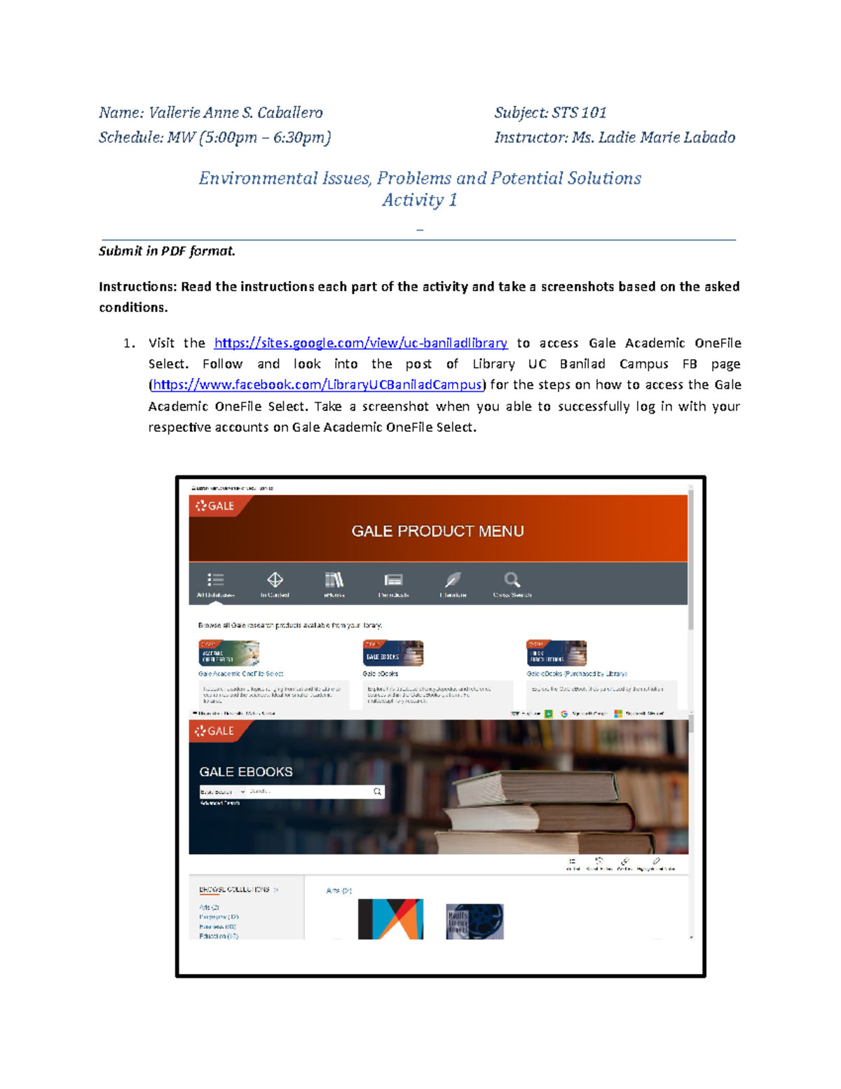 STS 1 01- Environmental Issues, Problems and Potential Solutions ...