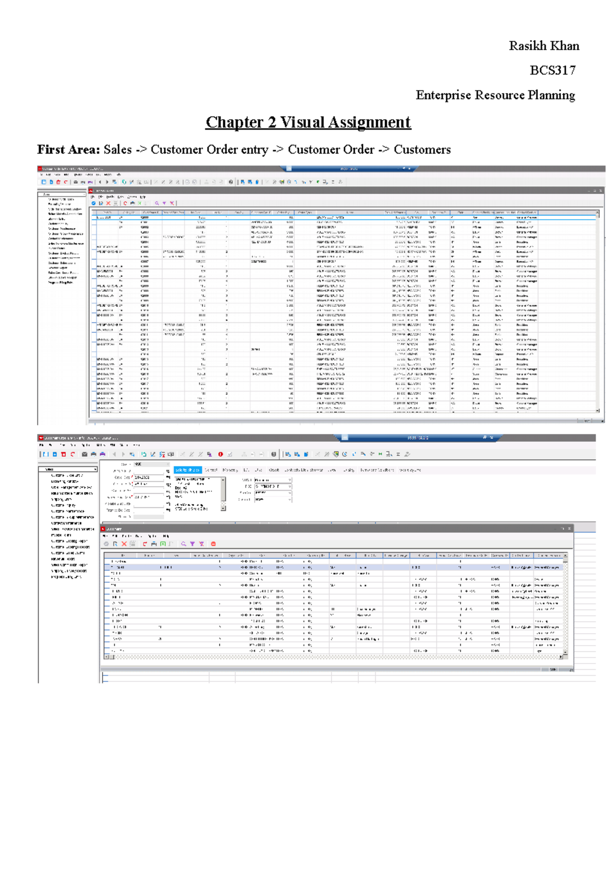 Chapter 2 Visual Assignment - Rasikh Khan BCS Enterprise Resource ...