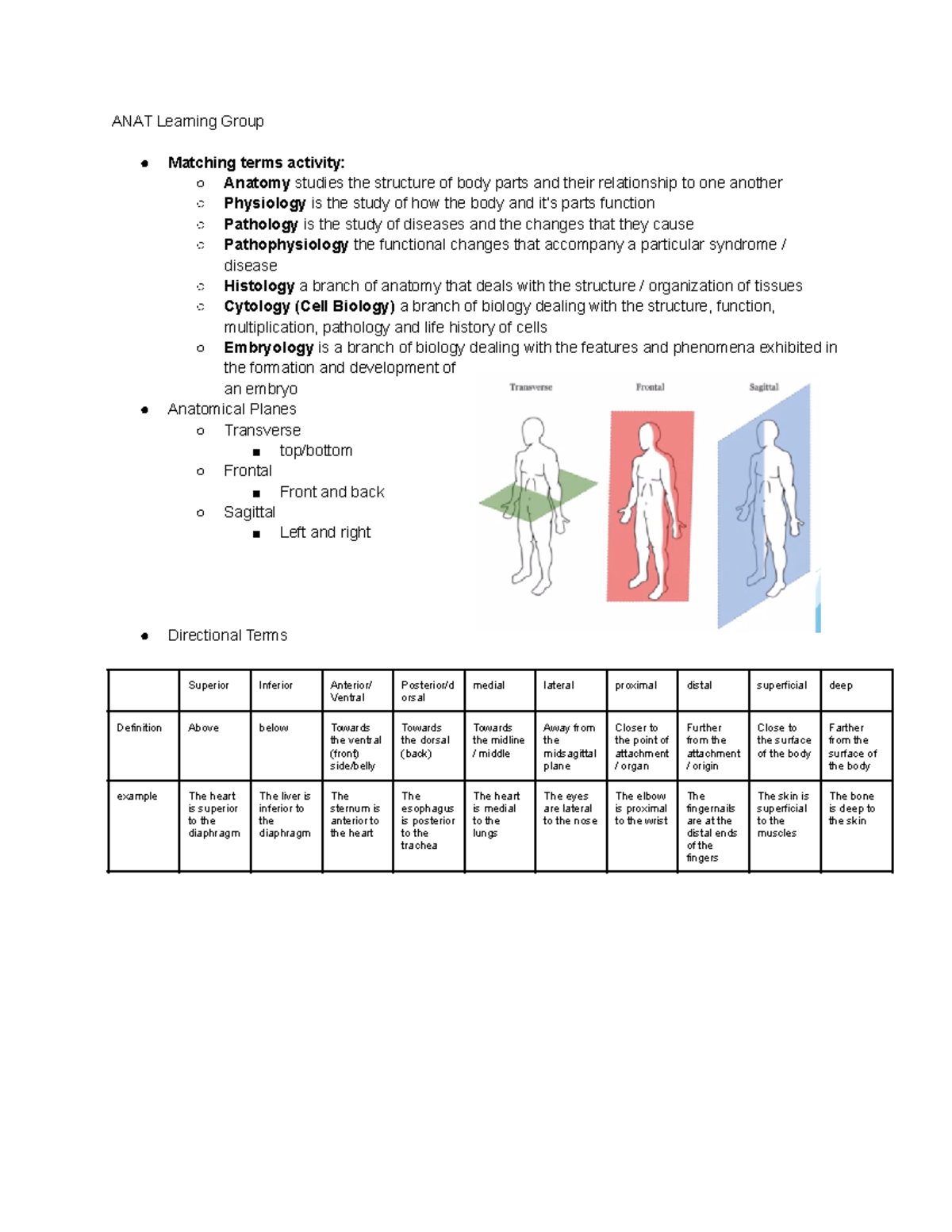 ANAT Learning Group - notes about anatomy - ANAT Learning Group ...