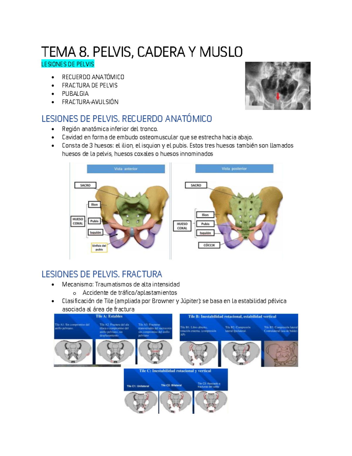 TEMA 8 ( Pelvis, Cadera Y Muslo) - Patología Médico Quirúrgica Ii ...