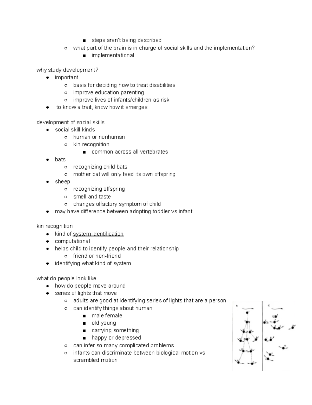 Cogs 1 Intro To Cognitive Science Lecture 16 16 Steps Arent Being Described What Part Of The
