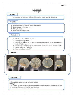 Lab 3 report - MICROSCOPIC OBSERVATION OF BACTERIA USING THE SIMPLE ...