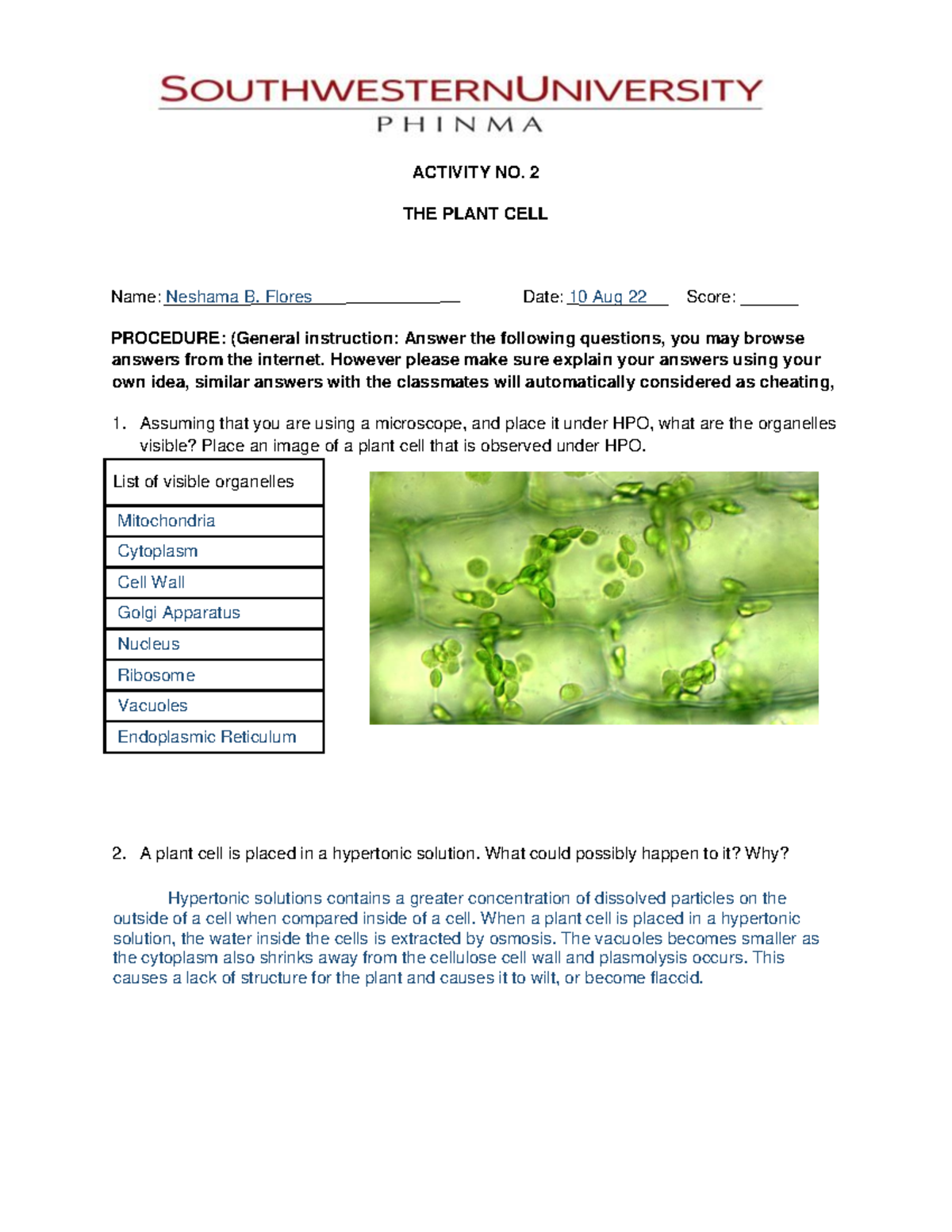PHA 048 LAS2 - laboratory activity sheet 2 - ACTIVITY NO. 2 THE PLANT ...