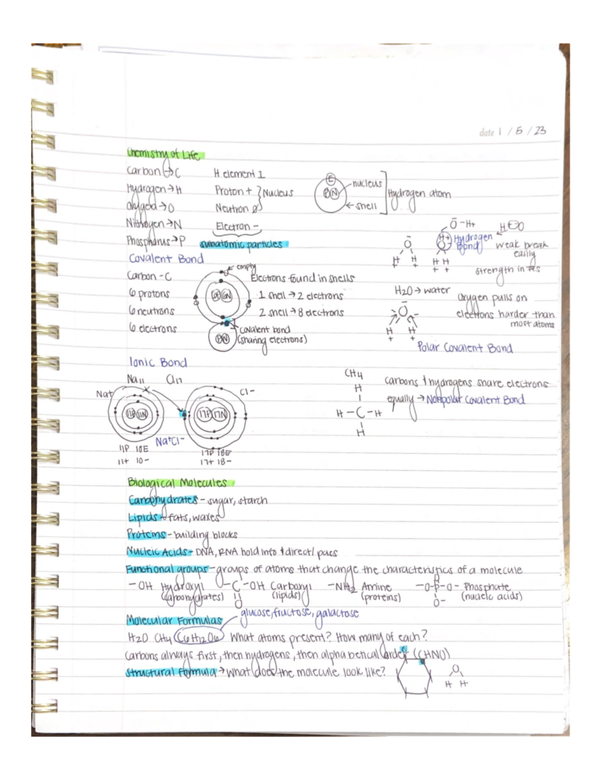 Biology Lecture 3 - BIO-1 - Studocu