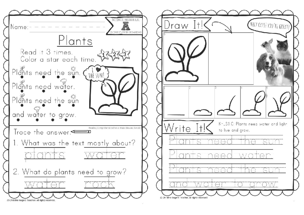 Reinforcement reading comprehension - English V - Studocu