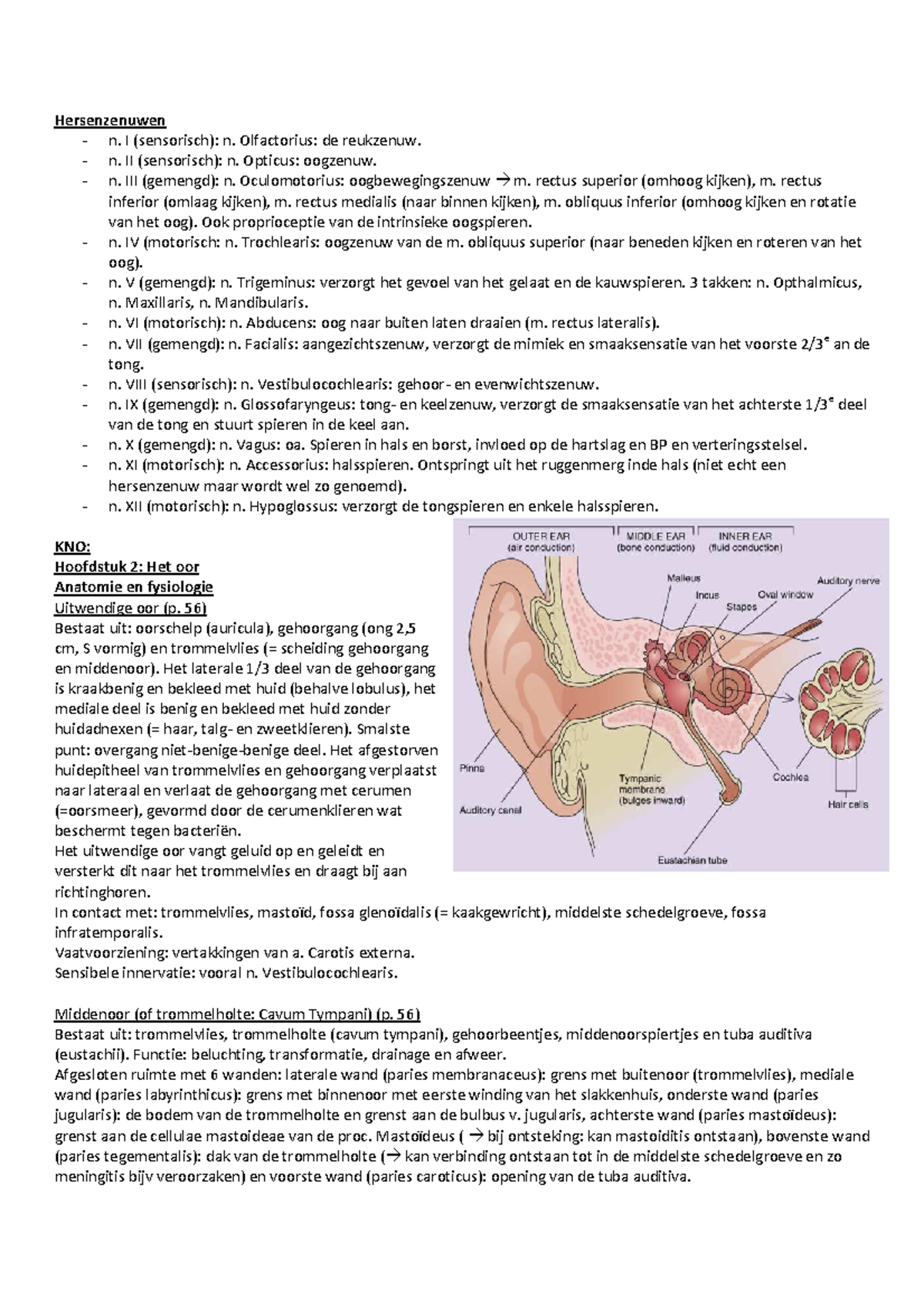 Samenvatting Zintuigen en Zenuwstelsel - Hersenzenuwen - n. I ...