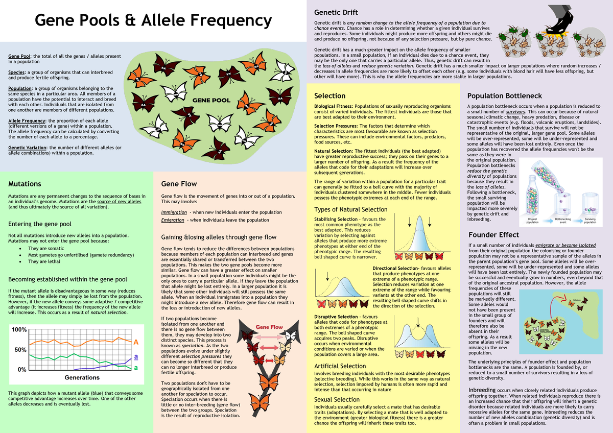 6) Gene Pools - Gene variation across various lectures shown - Gene ...