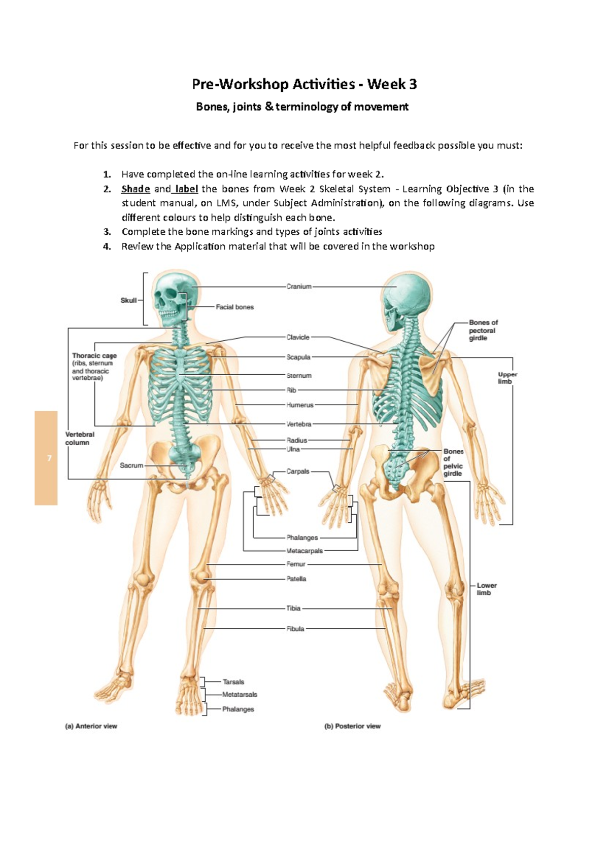 HBS1HBB Pre-Workshop Activities 3 2020 - Pre-Workshop Activities - Week ...