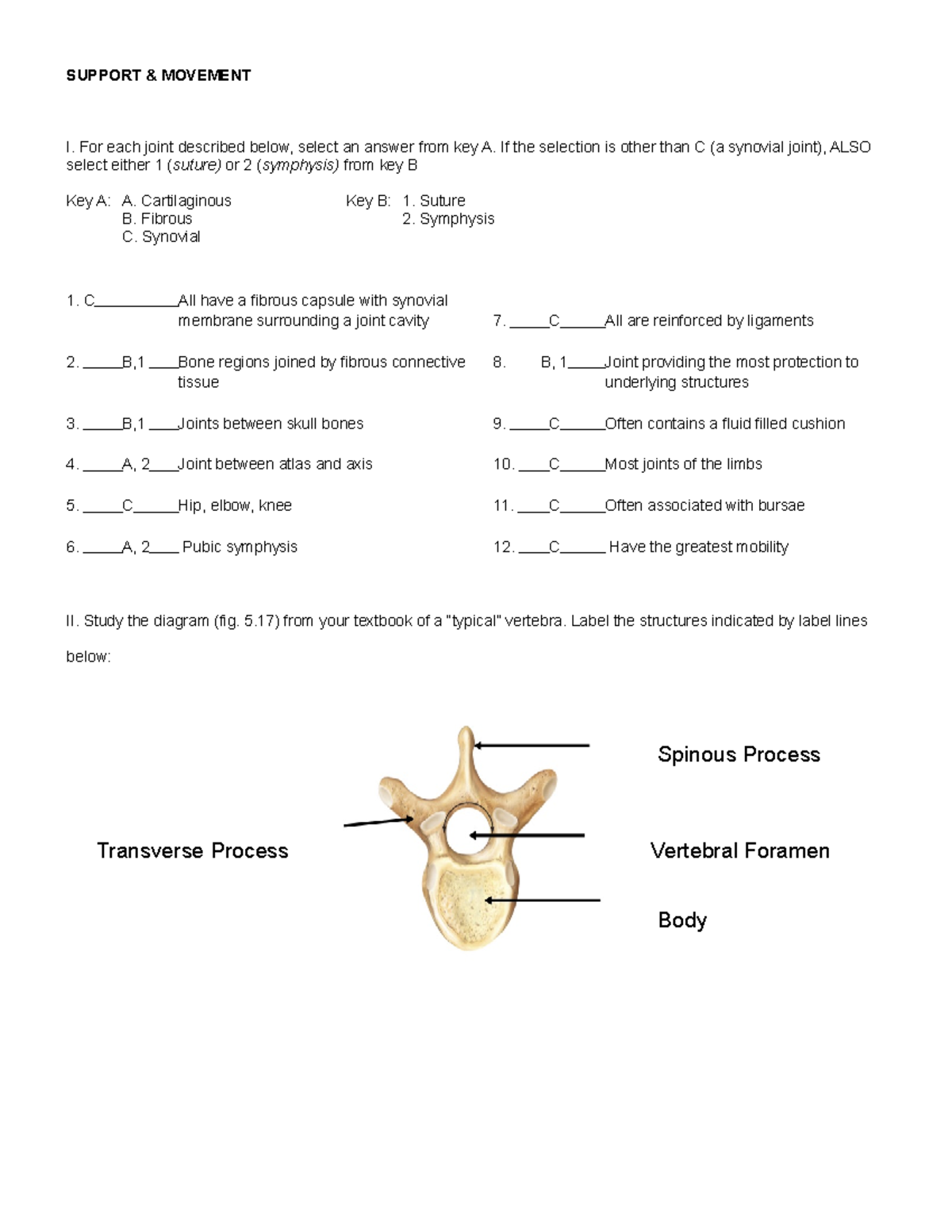 Support and Movement - Practice - SUPPORT & MOVEMENT I. For each joint ...