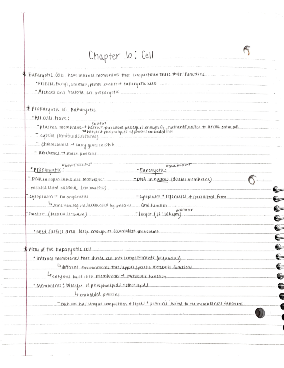 Bio Chapter 6 - Lavon Tonga - BIOL 1610 - Studocu
