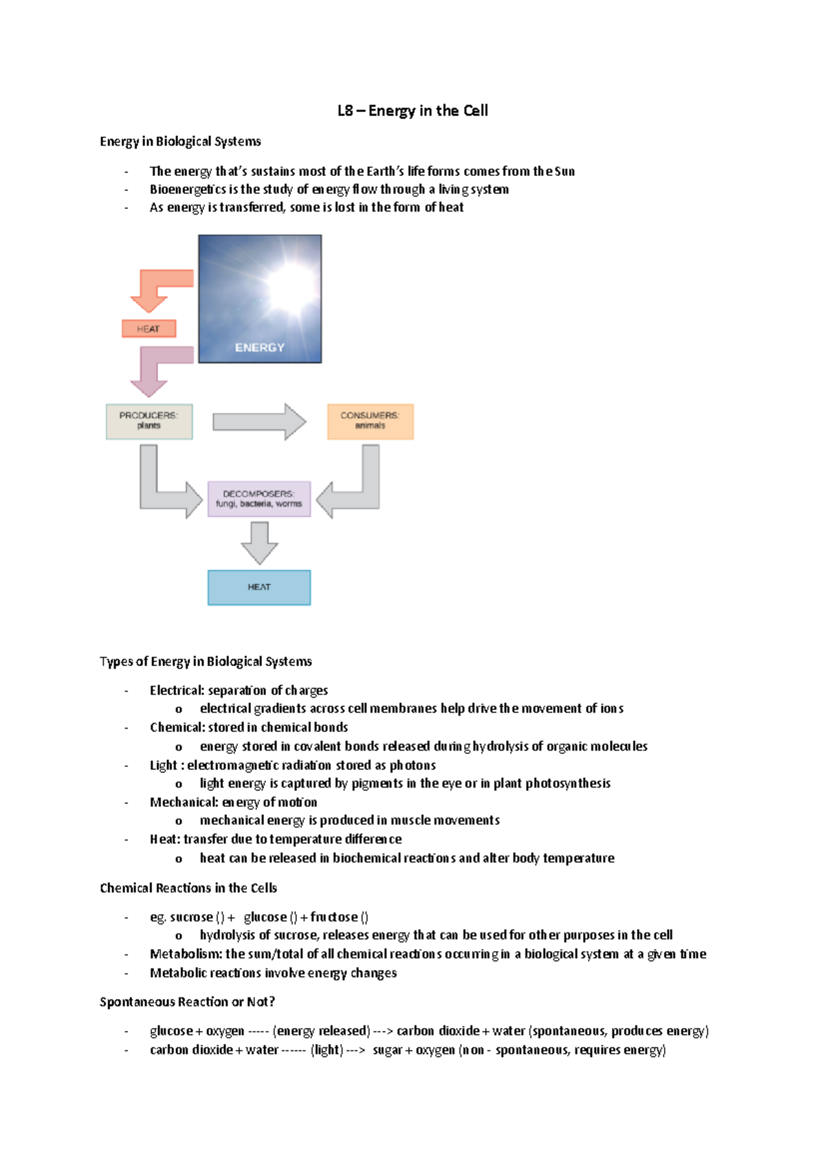 L8 - Energy in the Cell - BIOL10009 - Unimelb - Studocu