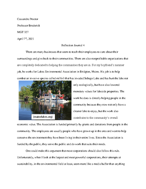 Strategic philanthropy project - Cassandra Proctor Professor Broderick ...