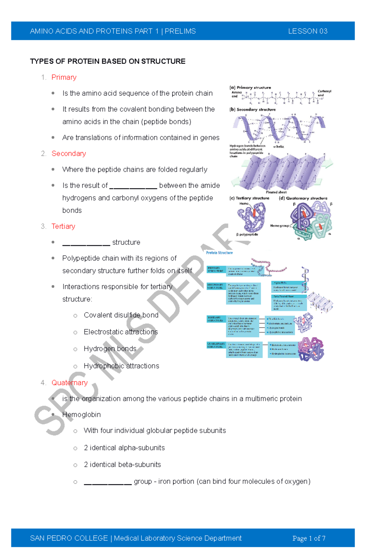 03 AA AND Proteins PART 2 2019 - TYPES OF PROTEIN BASED ON STRUCTURE ...