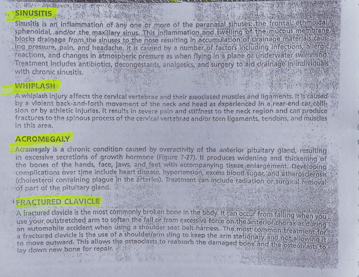 Document-WPS Office 04 - complementary zoology - Studocu