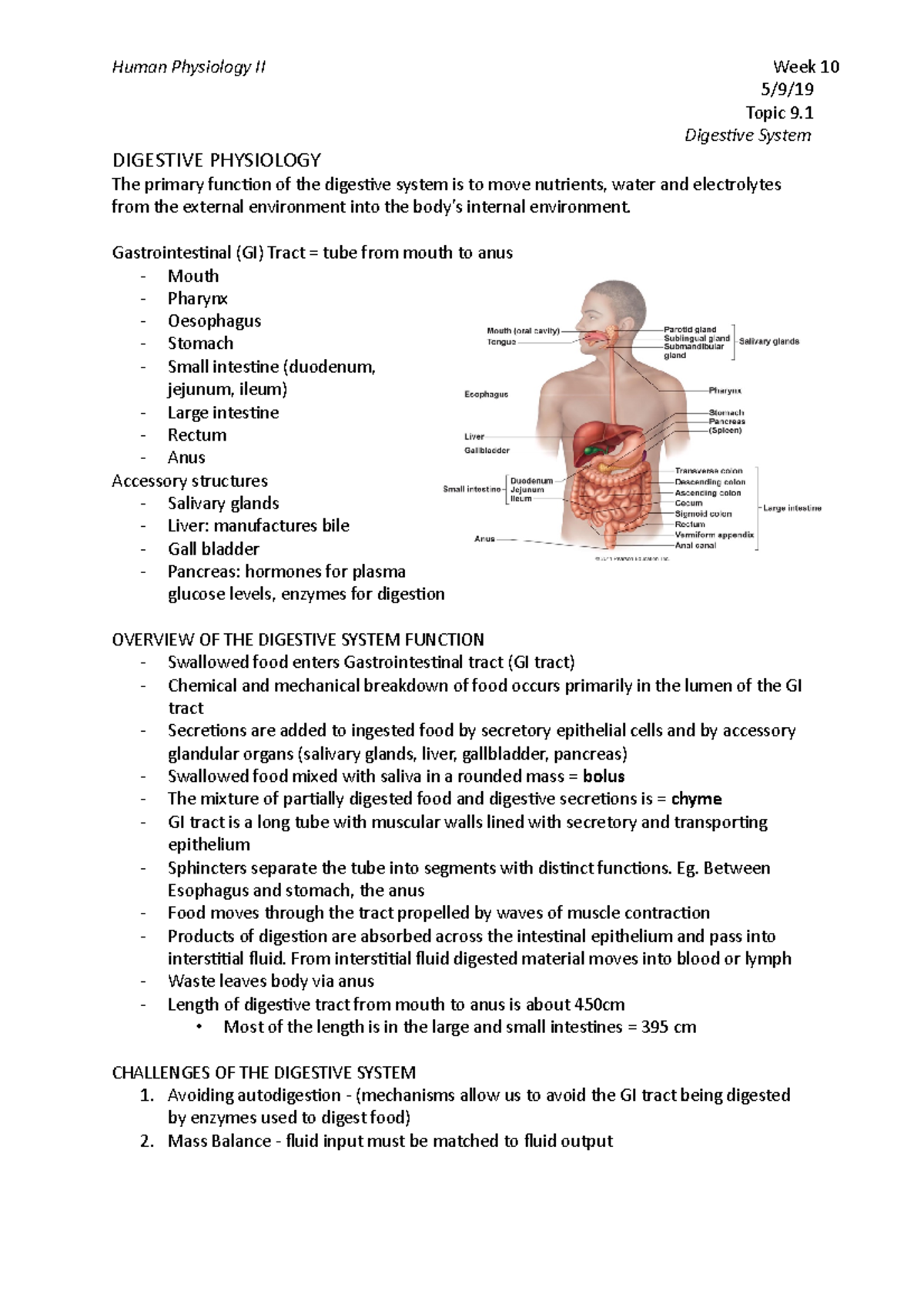 Topic 9 - Human Physiology 2 Lecture Notes. Got a HD - 5/9/ Topic 9 ...