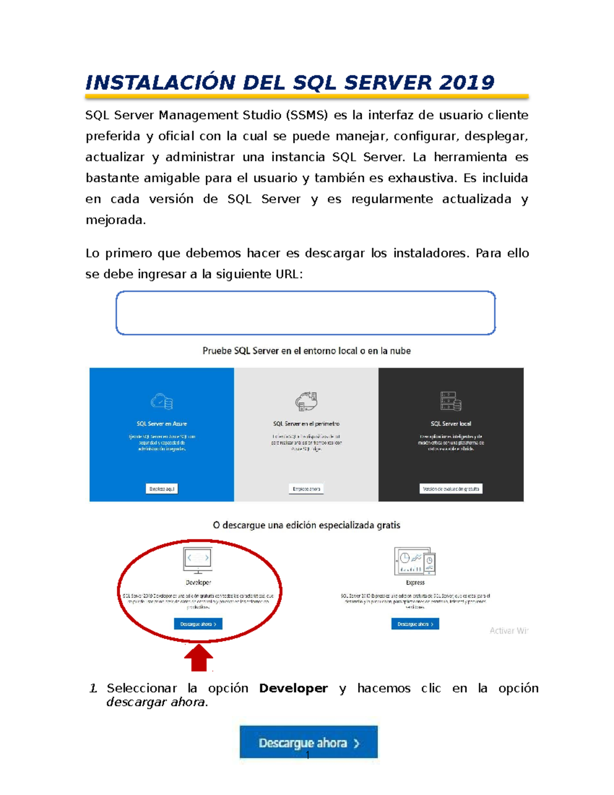 Instalacion BD Visual Studio - INSTALACIÓN DEL SQL SERVER 2019 SQL ...