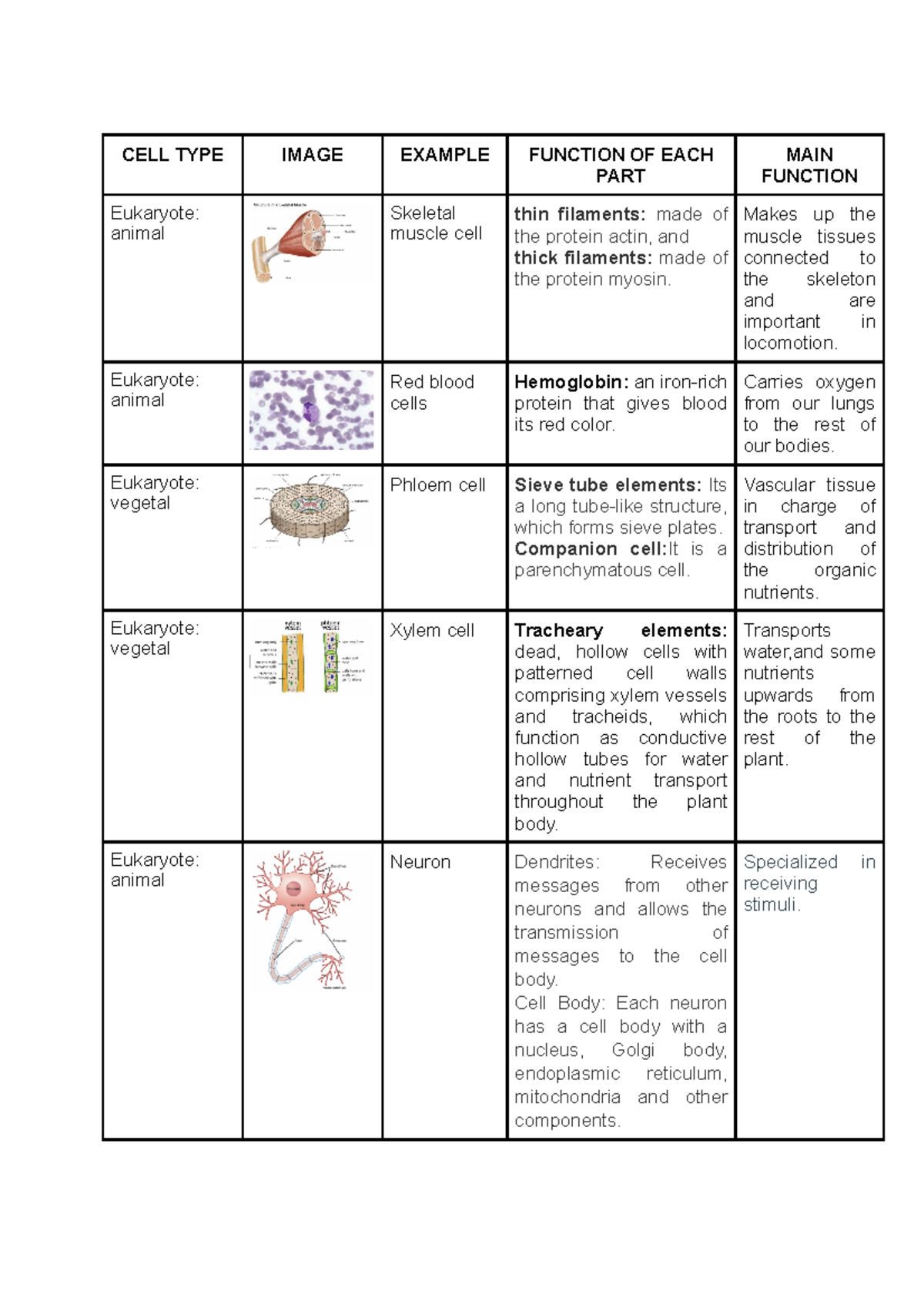Excercise 3 - yhgsdeuyg - CELL TYPE IMAGE EXAMPLE FUNCTION OF EACH PART ...