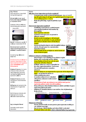 Promoter Recognition 1 - MGE 01- Core Promoter Architecture Key Points ...