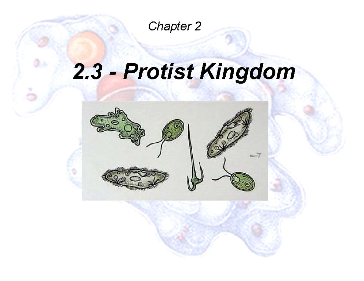2 - Biology - Chapter 2 2 - Protist Kingdom 2 The Protists • Smallest ...