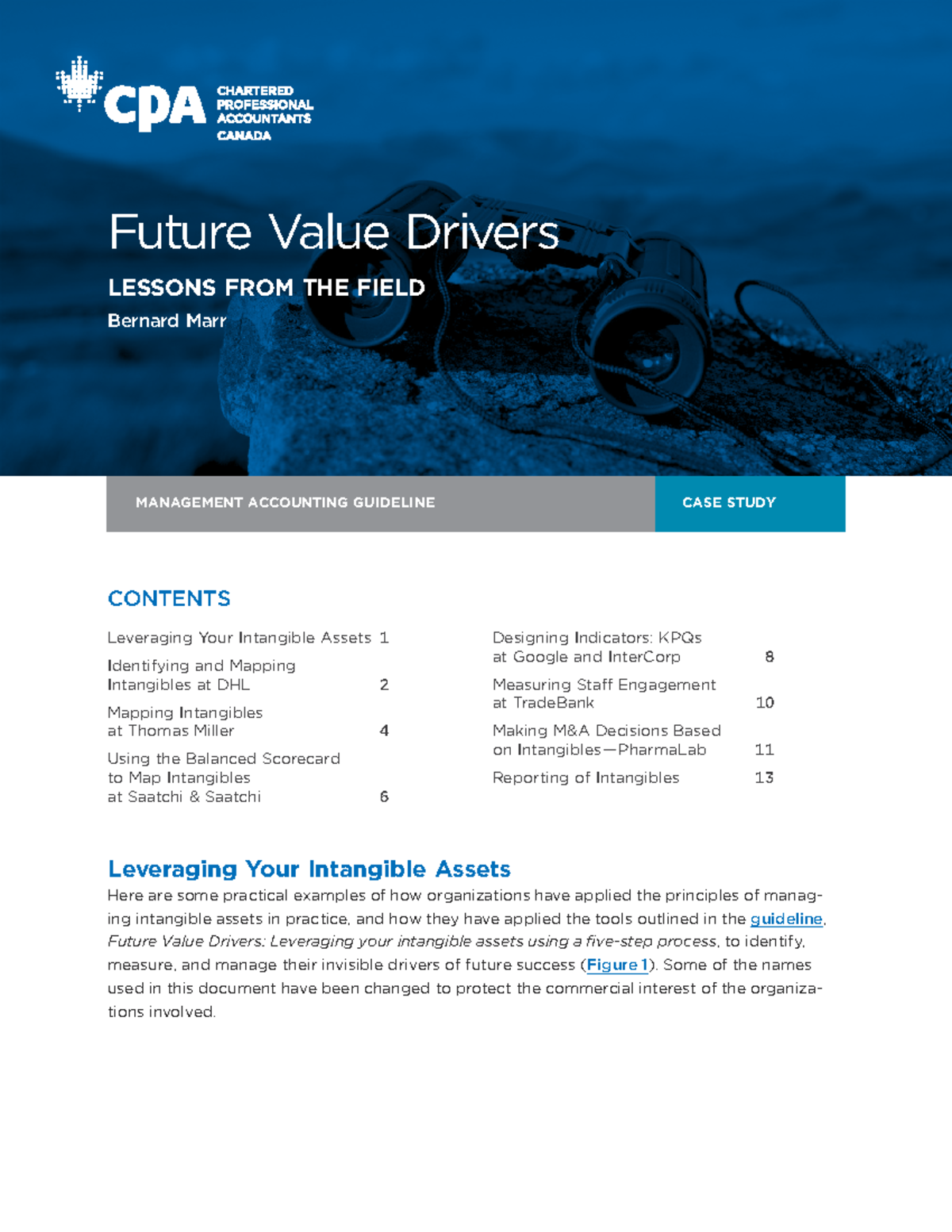 Future Value Drivers Case Studies - Leveraging Your Intangible Assets ...