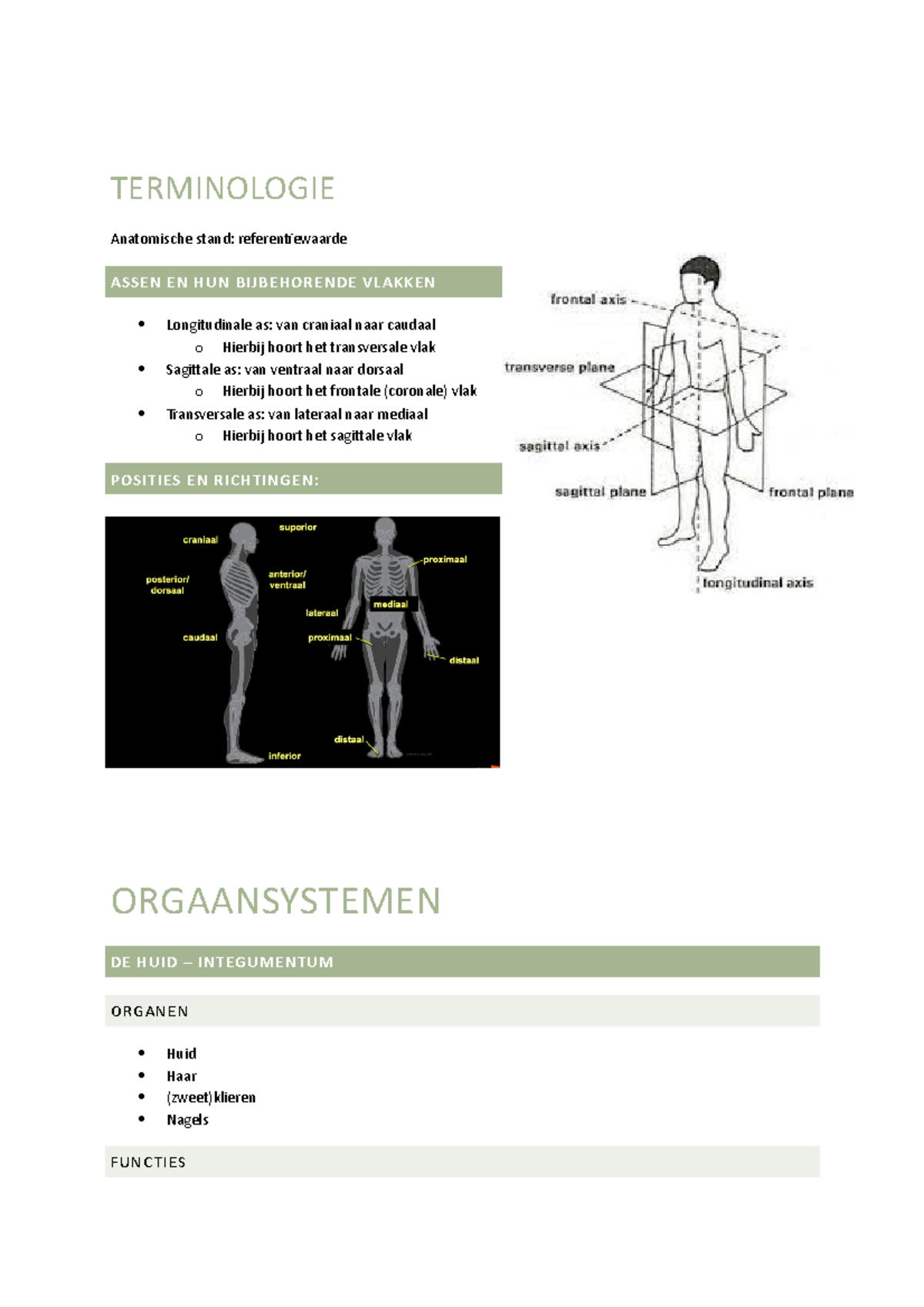 Samenvatting DT2 - TERMINOLOGIE Anatomische stand: referentiewaarde ...