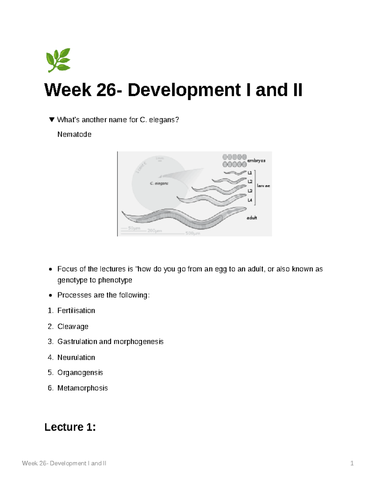 F74cf87e-80d4-4075-b088-5c8600c1ffab Week 26- Development I and II - 4 ...