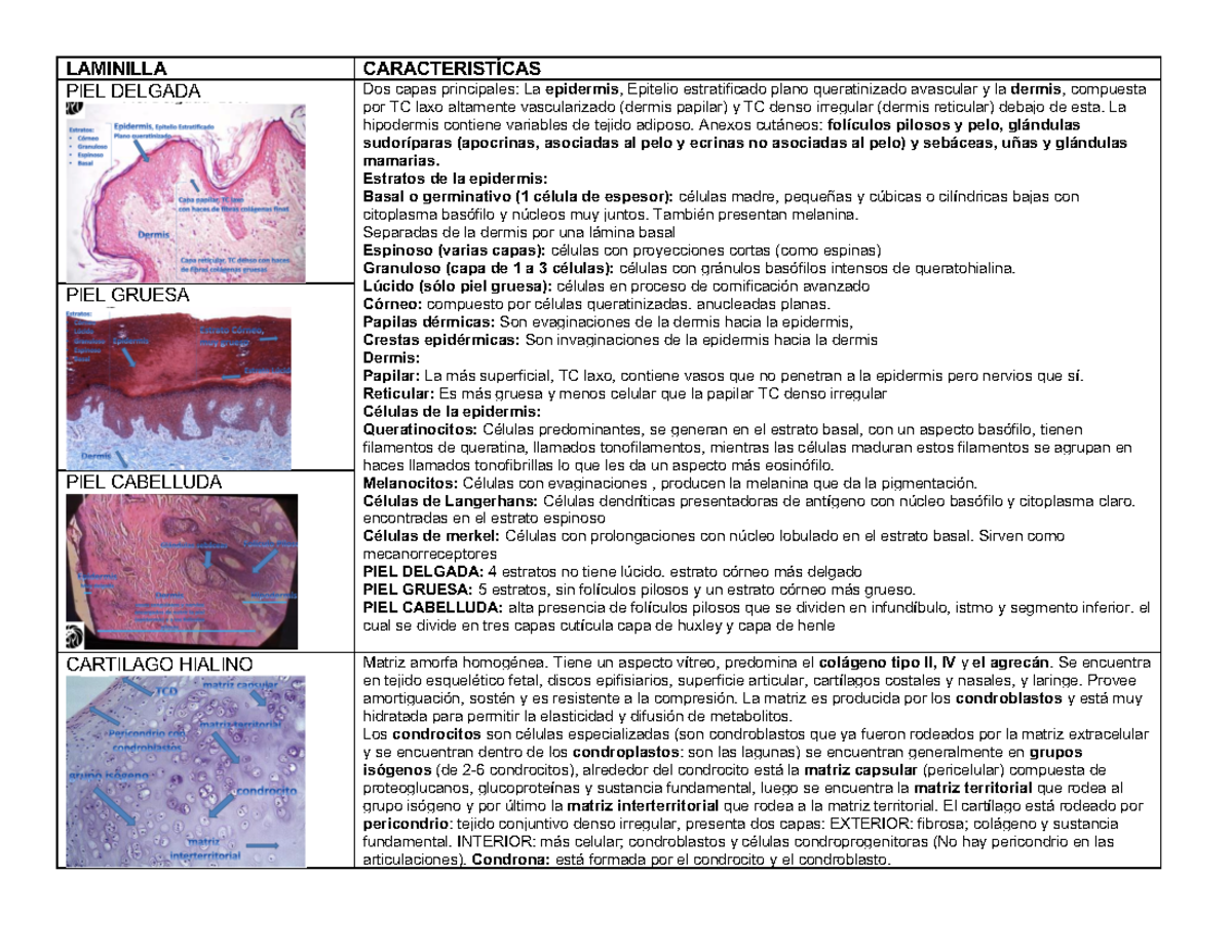 Espesor Del Tejido Desigual En Tejidos Laminillas Hotsell | emergencydentistry.com