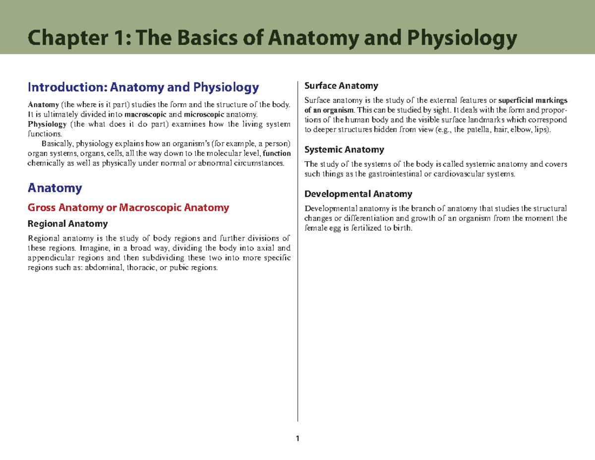 Ch01 - chapter review - Chapter 1: The Basics of Anatomy and Physiology ...