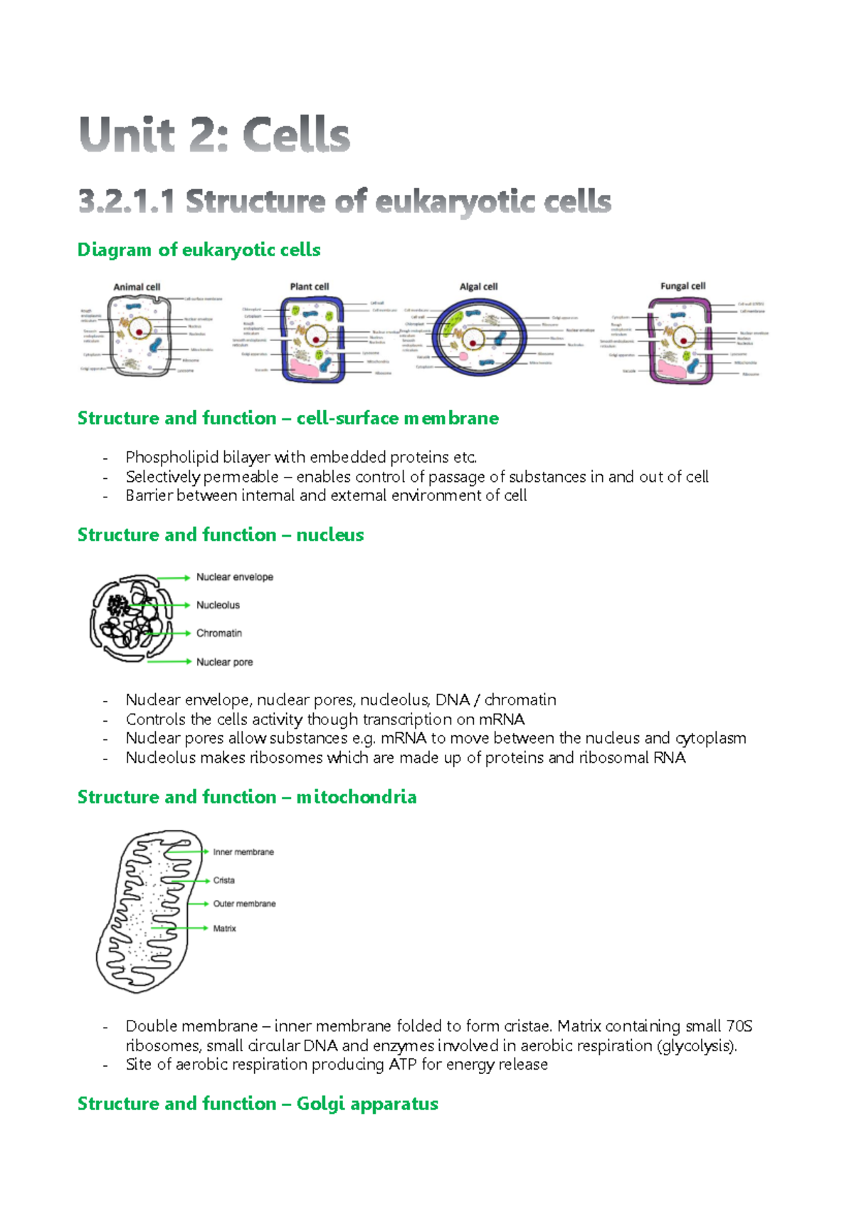 Open unit 21 - kjddksladasckllkasdc - Diagram of eukaryotic cells Structure and function – - Studocu