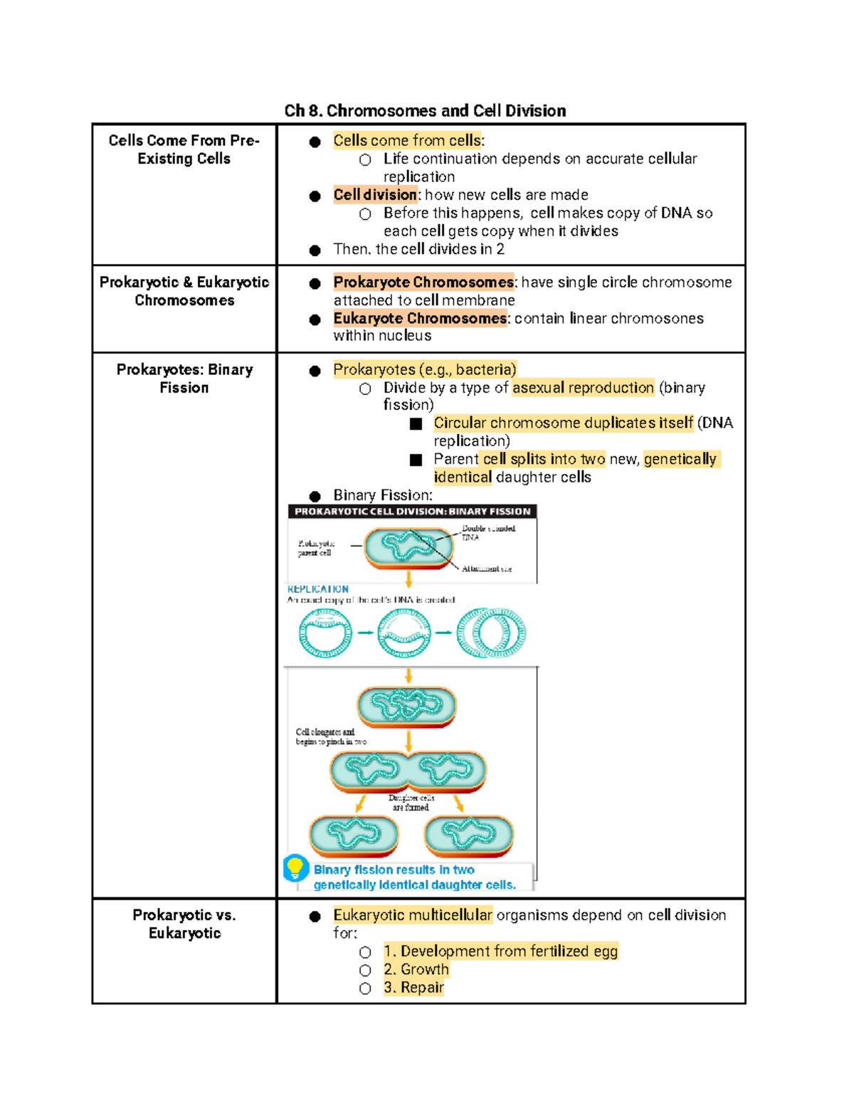 Ch 8. Chromosomes and Cell Division Notes - Ch 8. Chromosomes and Cell ...