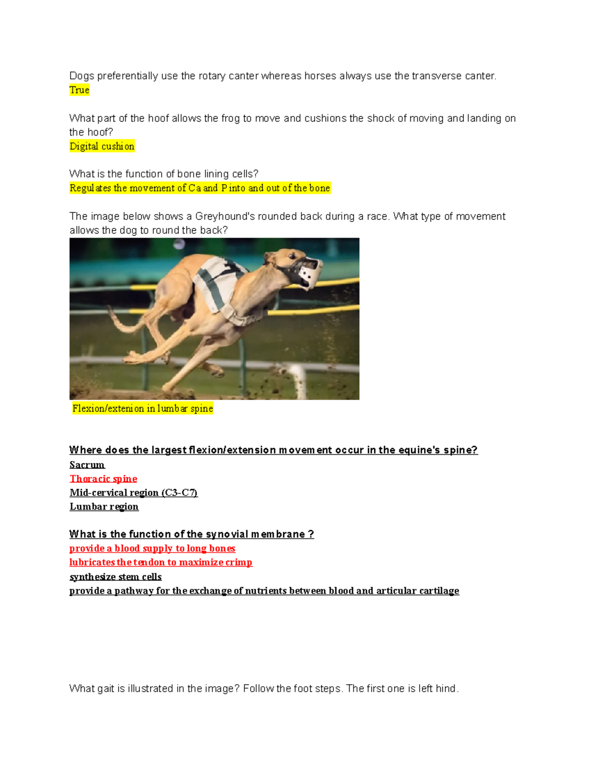 Ans 313 exam 2 - Exam 2 - Dogs preferentially use the rotary canter ...