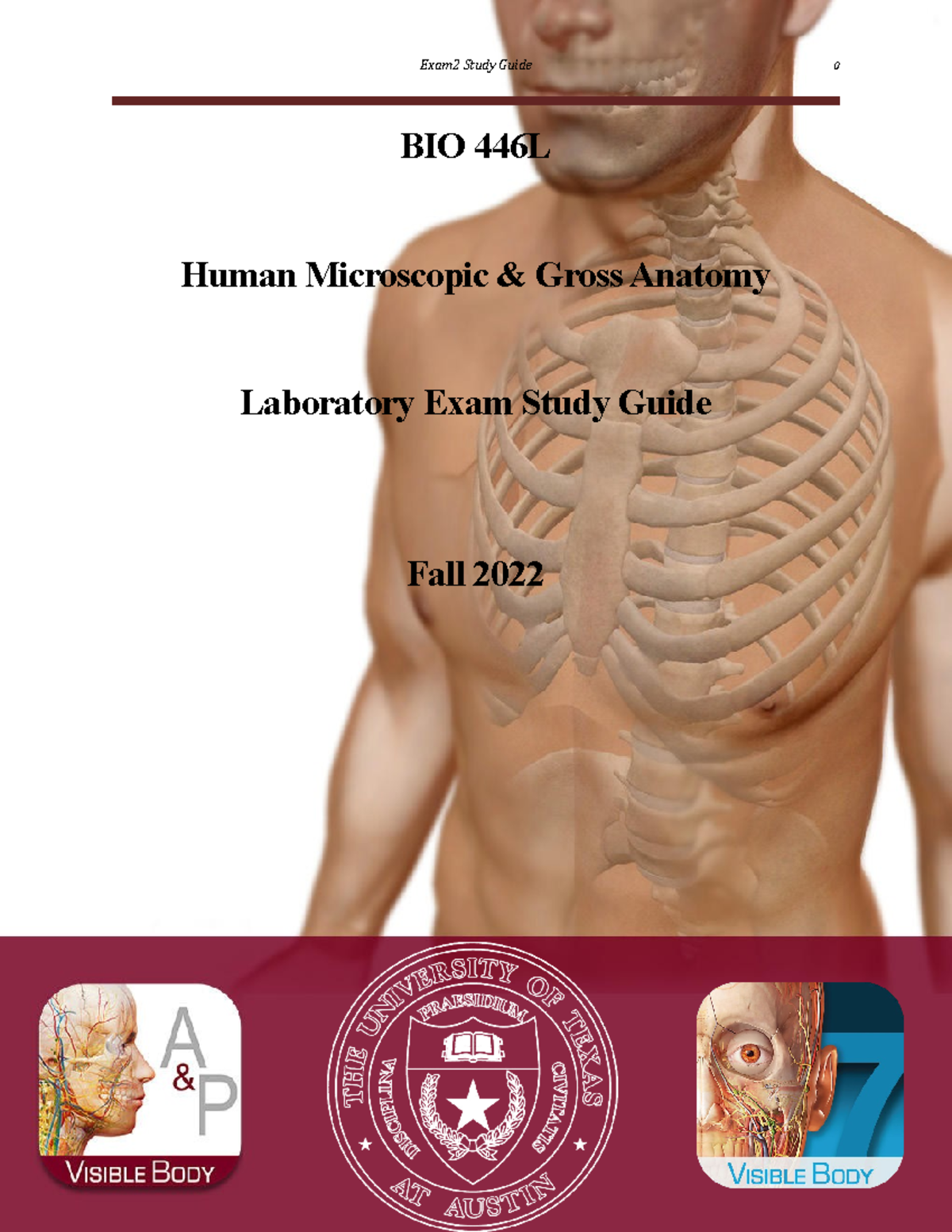 Lab Exam 2 Objectives - BIO 446L Human Microscopic & Gross Anatomy ...
