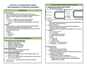 BACT LEC Complete - Side notes for bacteriology - Introduction to ...