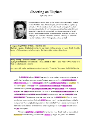 Visual Rhetorical Analysis Essay - Payne 1 Leila Payne Professor ...