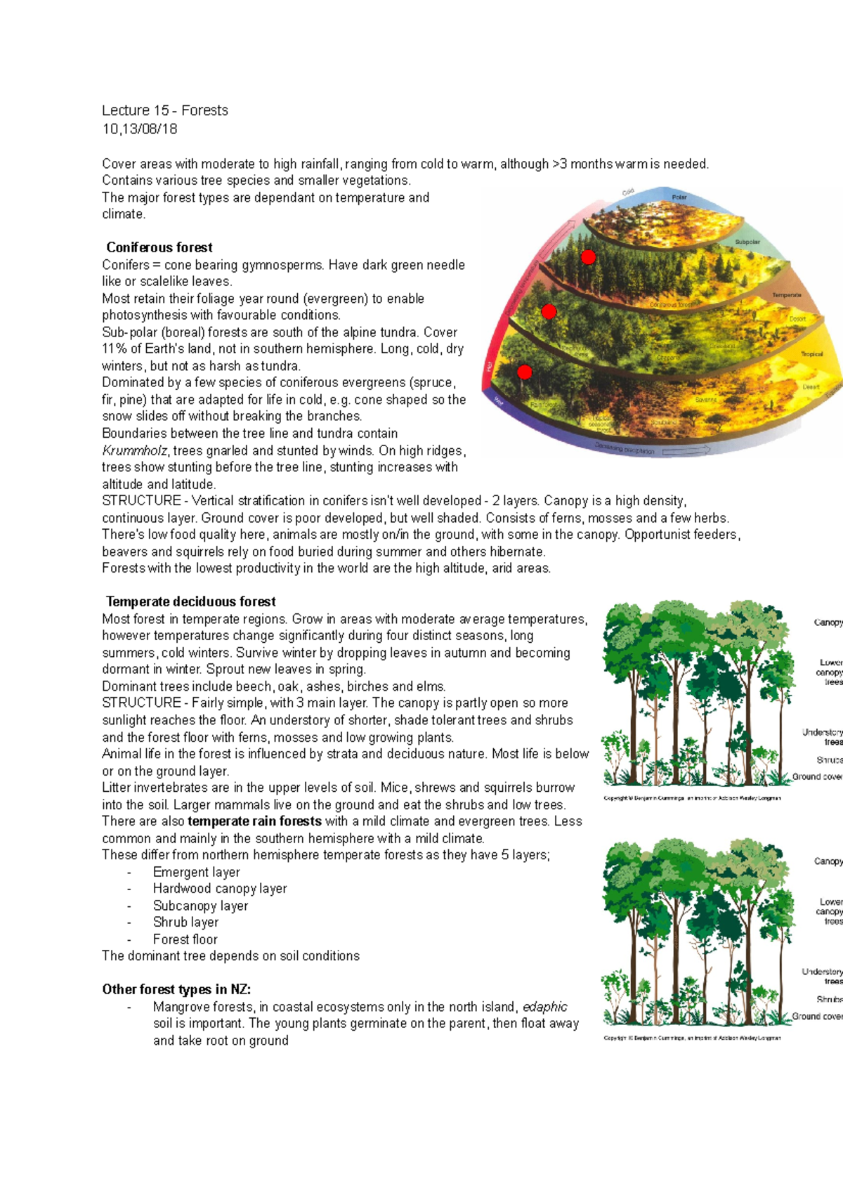 Lecture 15 - Forests - Lecture 15 - Forests 10,13/08/ Cover areas with ...