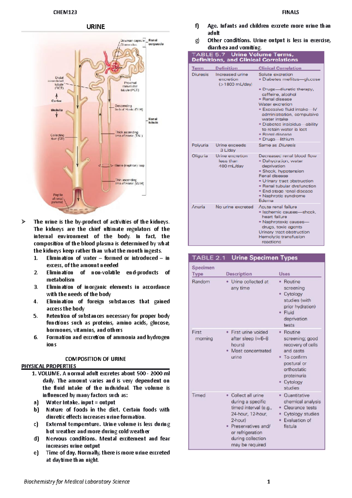 Biochemistry for MLS-Transes-Finals - URINE The urine is the by-product ...