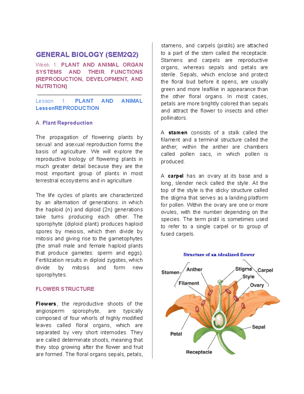 General Biology 2 Q4 - GENERAL BIOLOGY (SEM2Q2) Week 1: PLANT AND ANIMAL ORGAN SYSTEMS AND THEIR ...