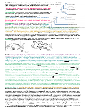 Zoology cheat sheet (Autosaved) (Autosaved) - Week 1: Axial = along the ...