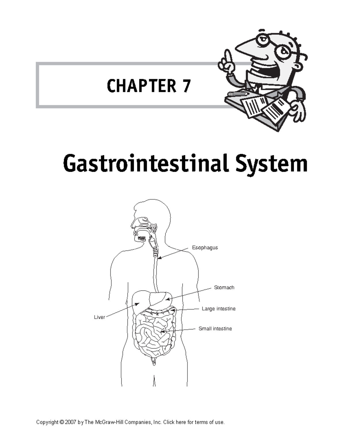 Med surg- gastro - Gastrointestinal System CHAP TER 7 Stomach Liver ...