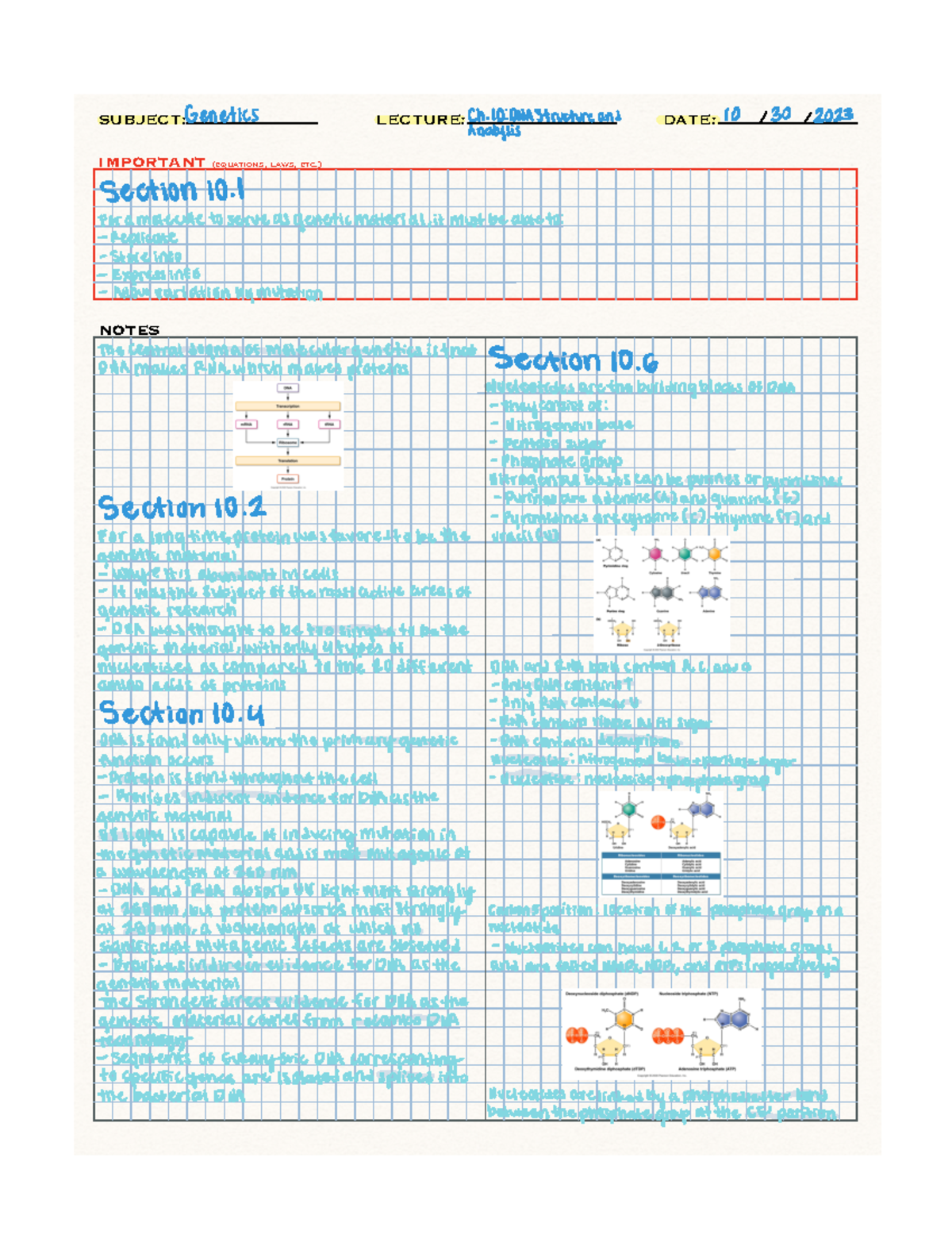 DNA structure and analysis - LECTURE: DATE: NOTES SUBJECT: IMPORTANT ...