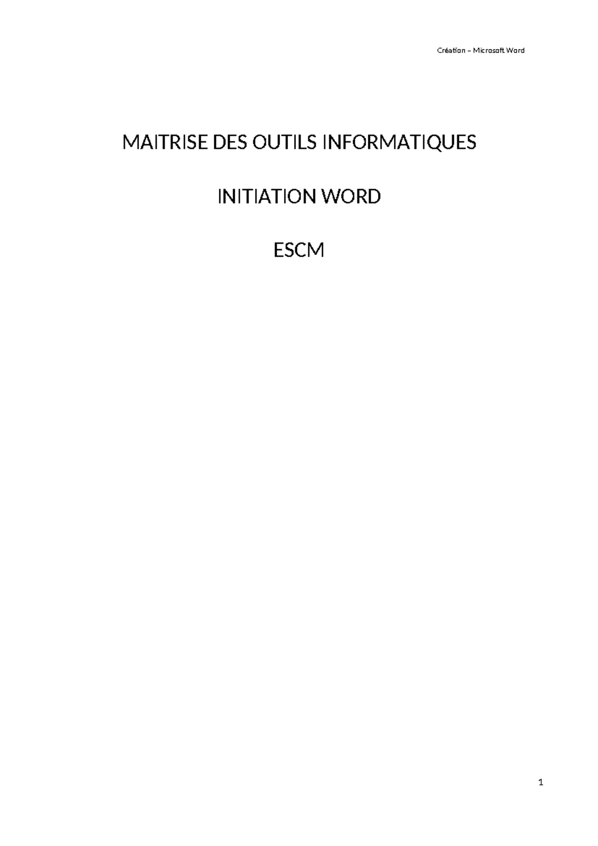 Cours initiation MS Word - MAITRISE DES OUTILS INFORMATIQUES INITIATION ...
