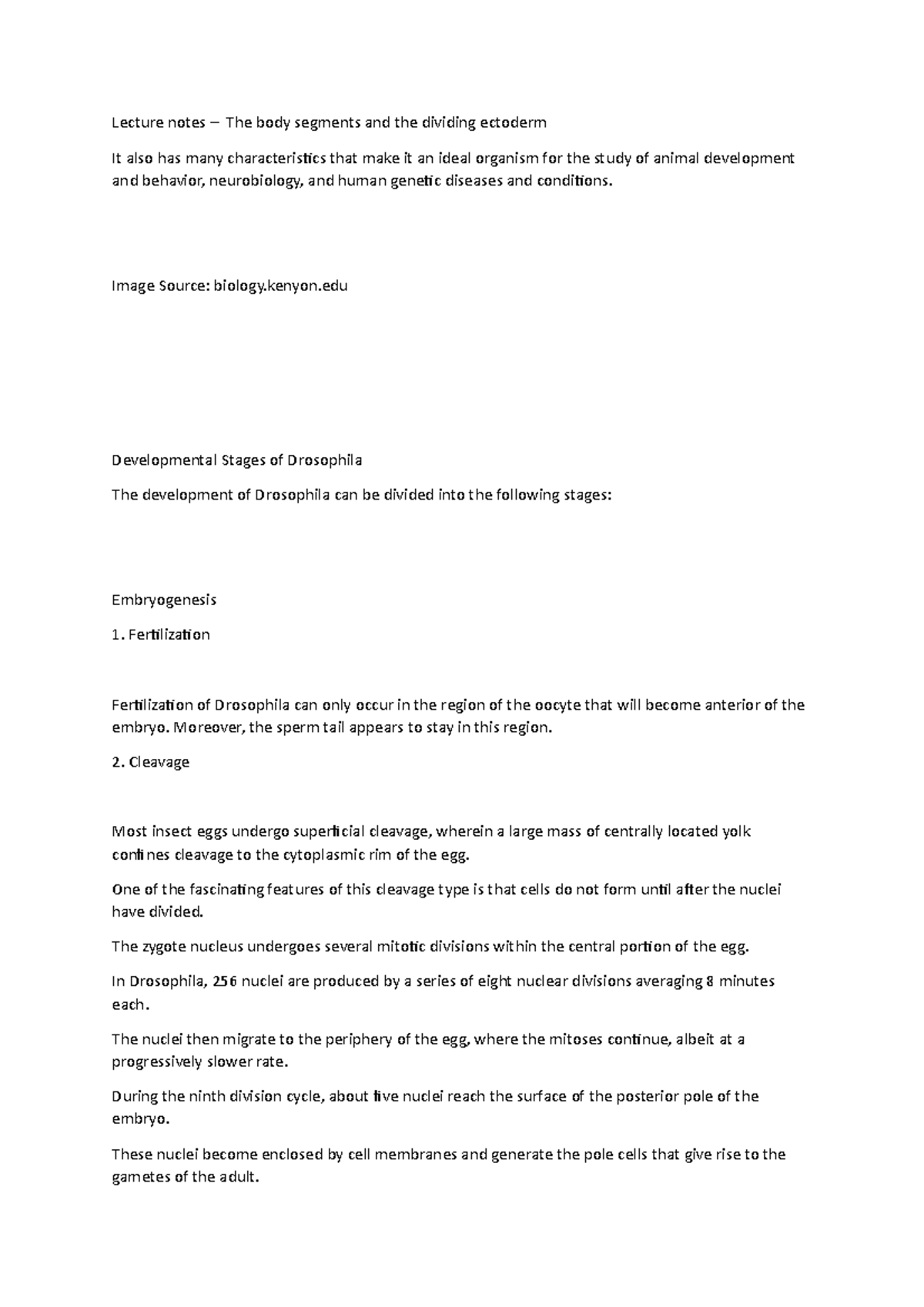 Lecture notes – The body segments and the dividing ectoderm - Image ...